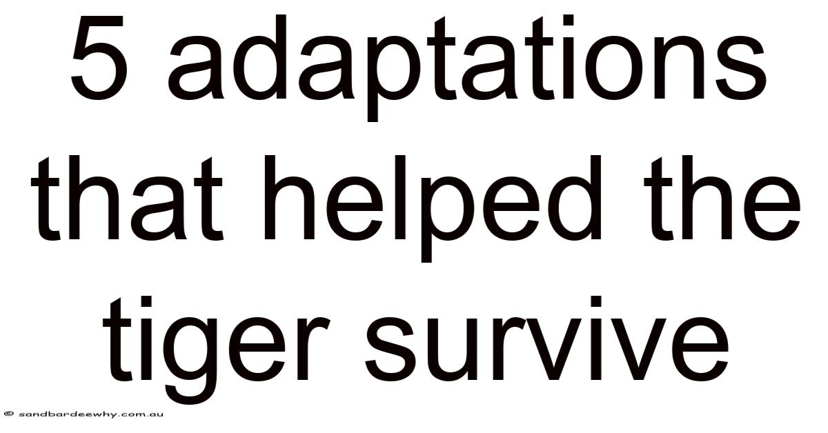 5 Adaptations That Helped The Tiger Survive